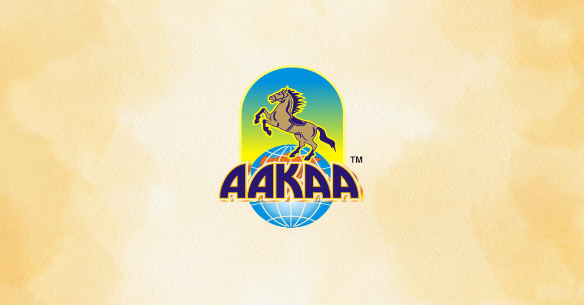Aakaa Foods - Flavours of Tradition, Made Easy
